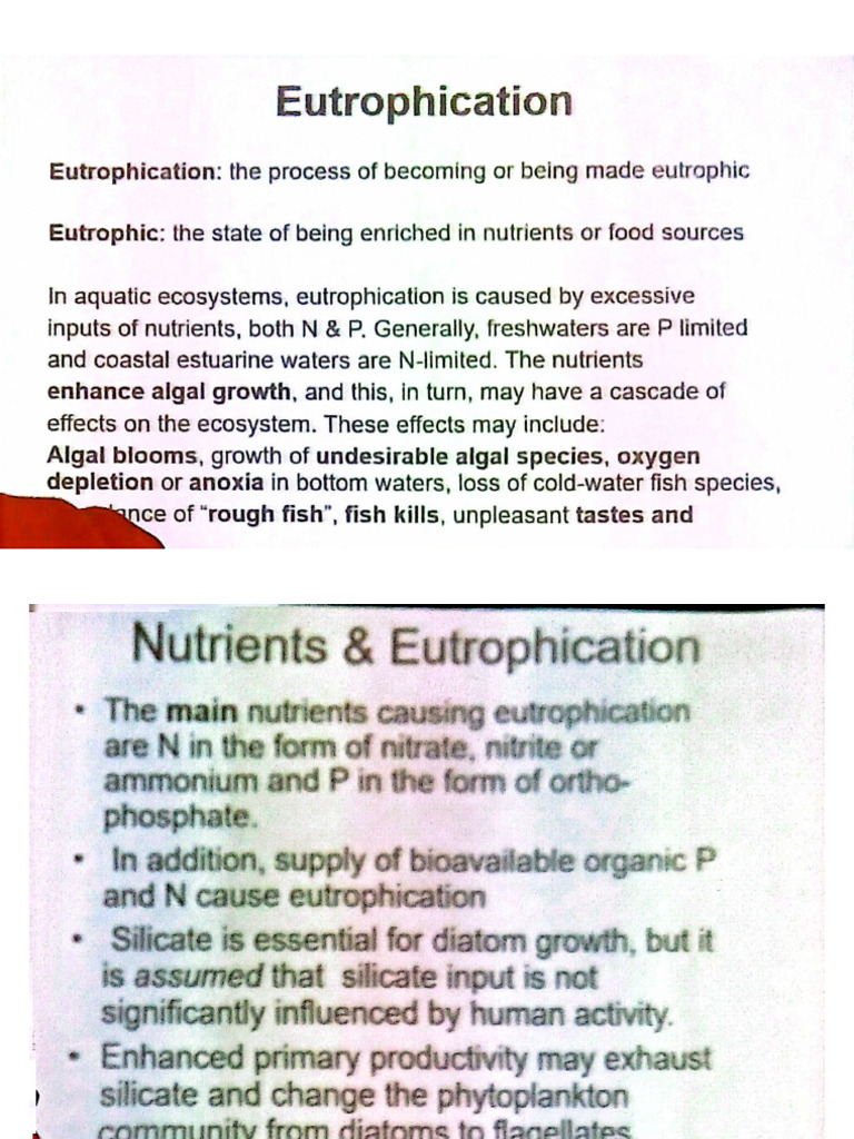 Eutrophication | PDF