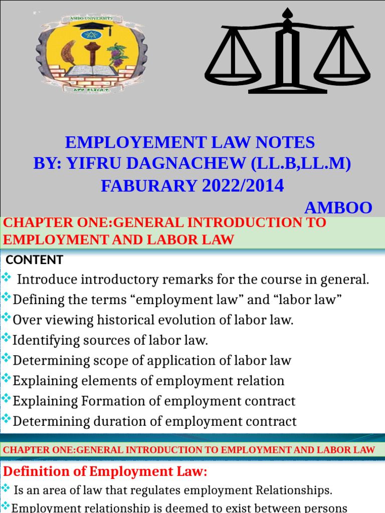 Employment Law Overview and History | PDF | Employment | Labour Law