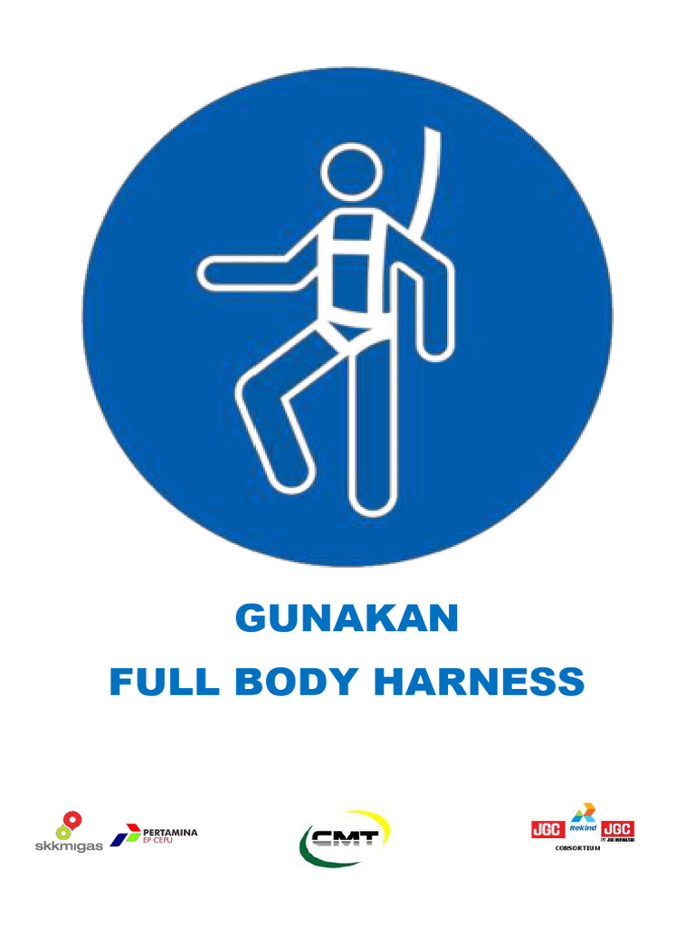 Body Harness | PDF