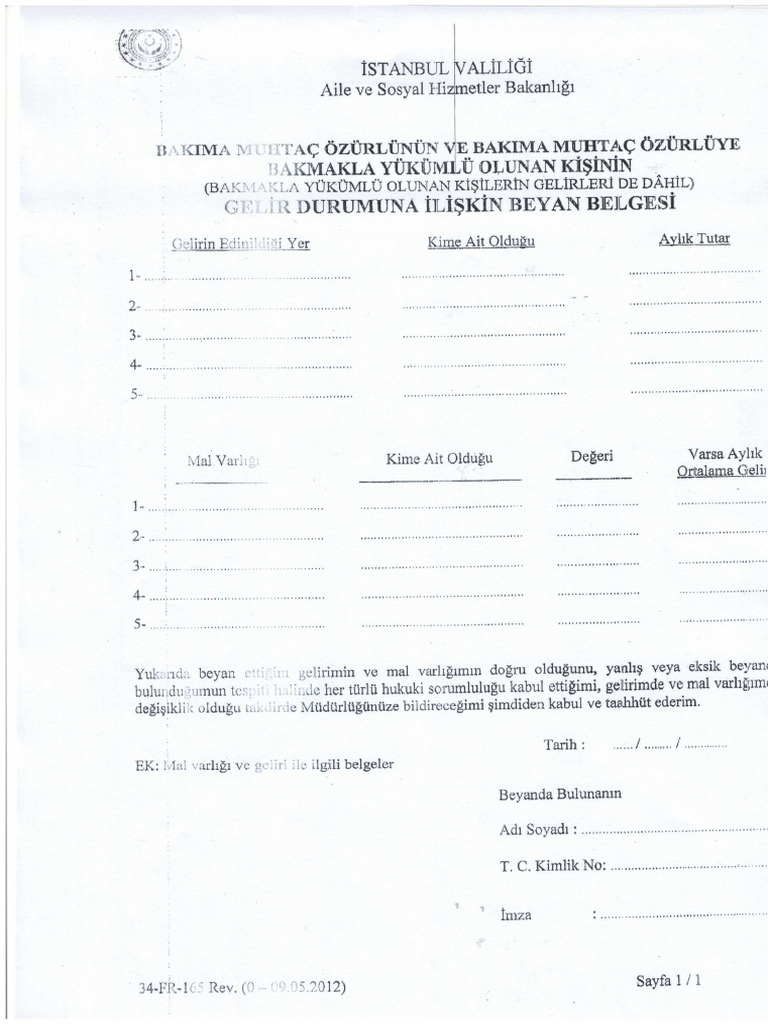 Geli̇r Beyan Formu | PDF