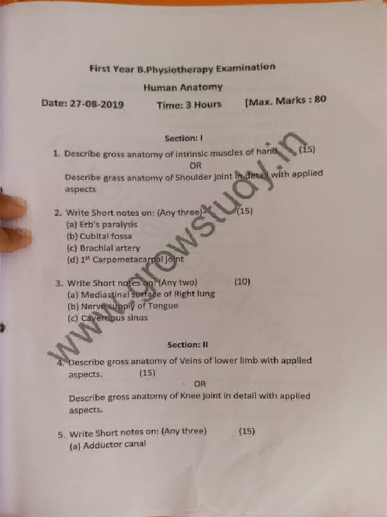 Anatomy Papers | PDF