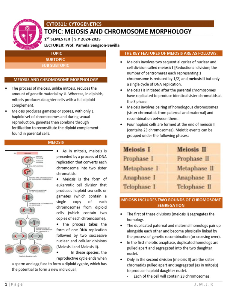 Meiosis: Chromosome Morphology Explained | PDF | Meiosis | Chromosome