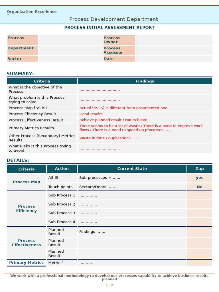 Process Initial Assessment Report | PDF
