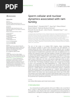 Duck Reproductive Anatomy Overview | PDF | Testicle | Ovary