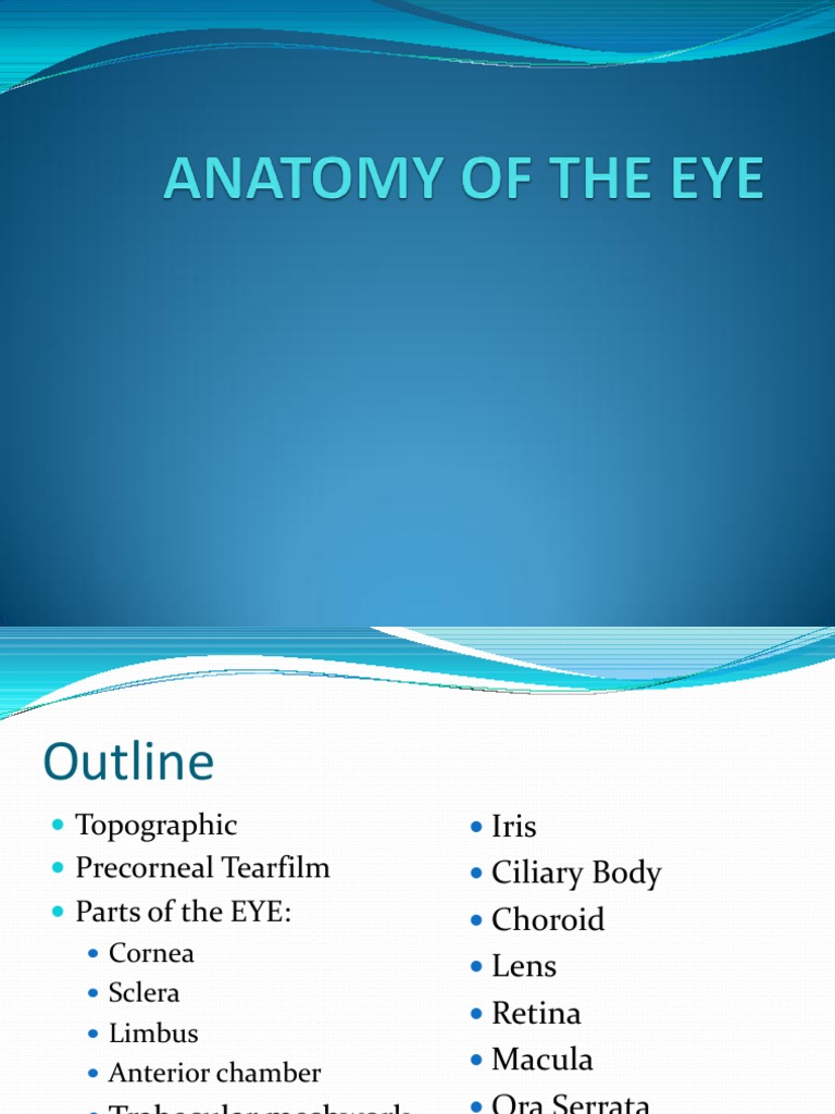 Anatomy Topography of The Eye | PDF | Cornea | Human Eye