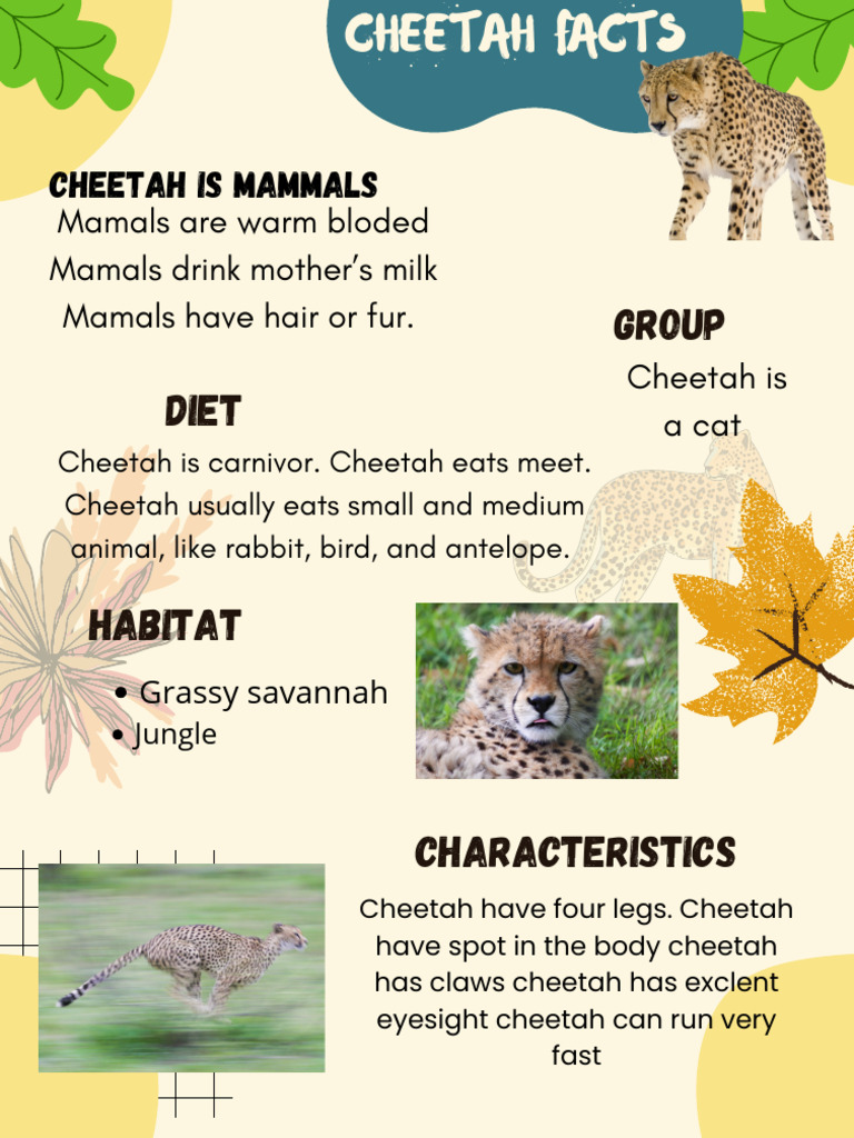 Colorful Illustration World Animal Day Poster PDF | PDF
