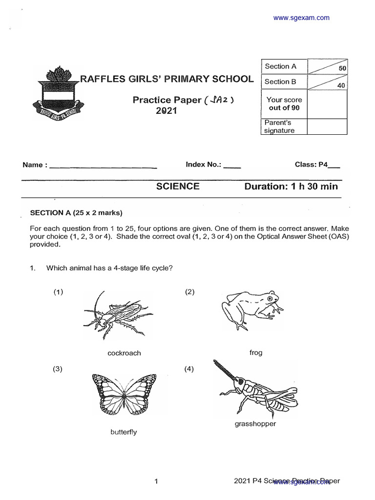 2021 P4 Science Practice Paper | PDF