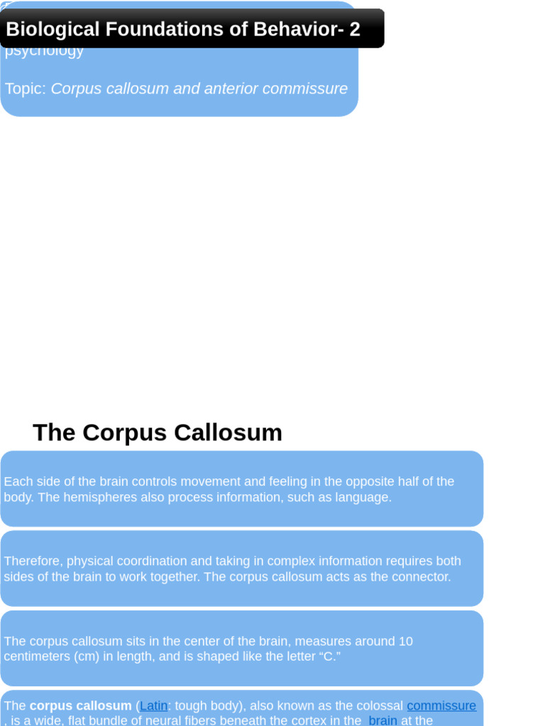 Role of Corpus Callosum in Brain Function | PDF | Cerebral Hemisphere ...