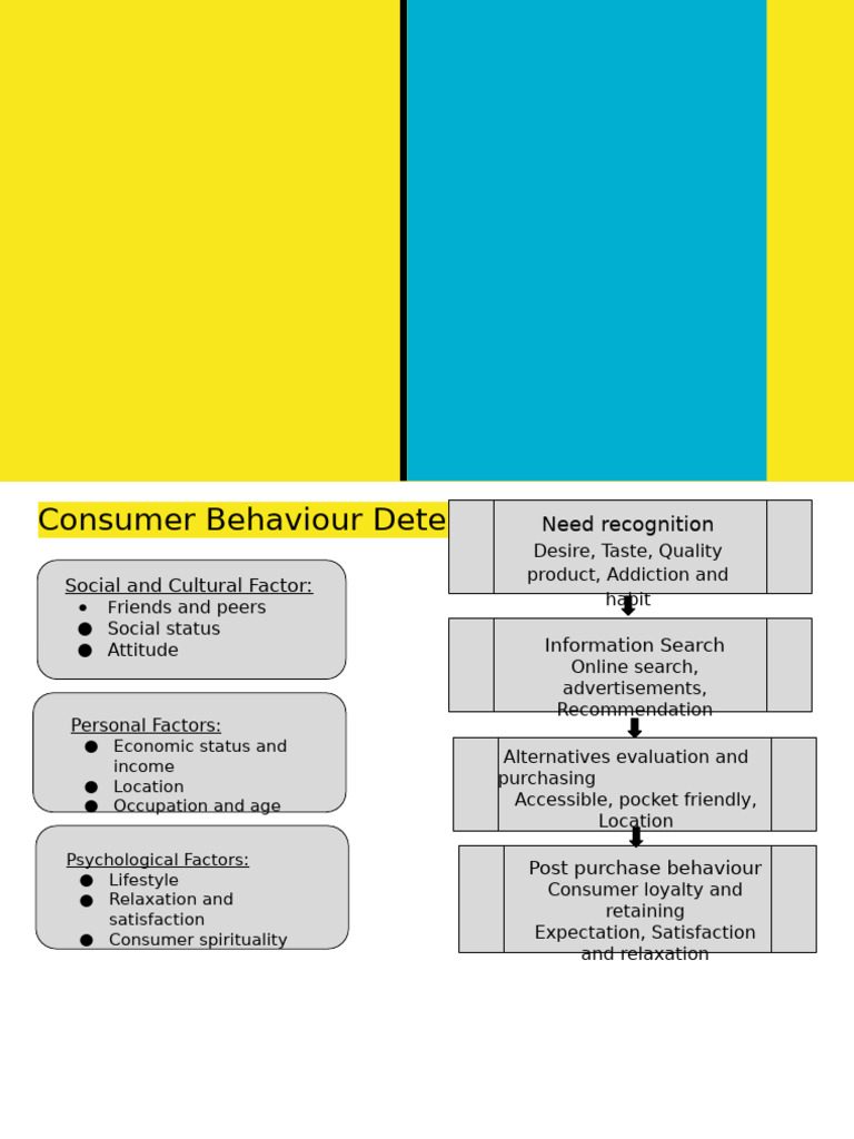 Consumer Behaviour | PDF