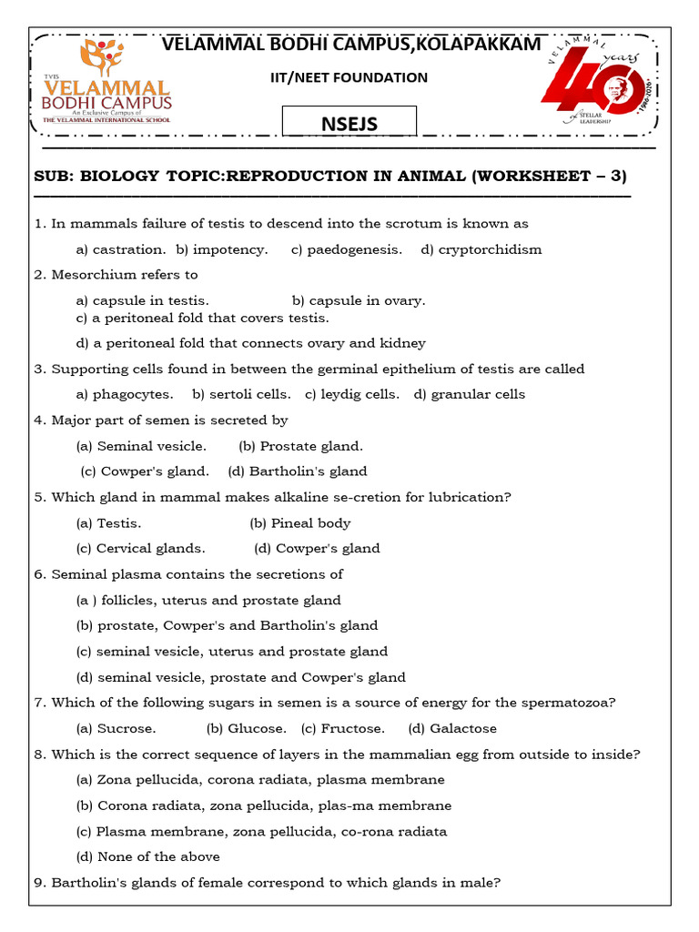 Nsejs 3 Reproduction in Animals Ws 3 | PDF | Menstrual Cycle | Testicle