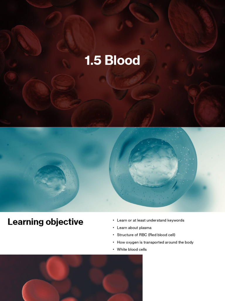 Blood Components and Functions Explained | PDF | Red Blood Cell | Blood