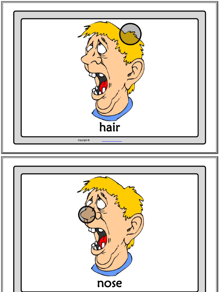 Face Parts Vocabulary Esl Printable Flashcards With Words for Kids | PDF
