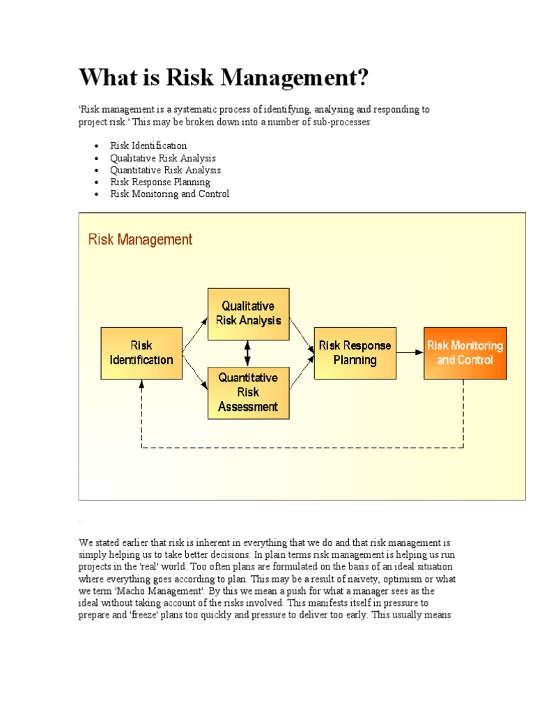 What Is Risk MGT | PDF | Risk | Risk Management