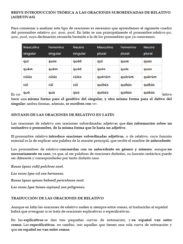 Oraciones Subordinadas de Relativo | PDF