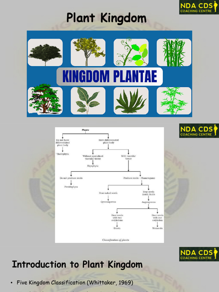 Overview of Plant Kingdom Classification | PDF | Spore | Plants
