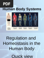 Overview of Human Body Systems for 7th Grade | PDF | Human Body | Lung