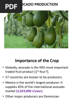 Avocado Stages of Ripeness Chart | PDF | Avocado | Edible Fruits