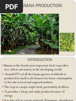 HSN Code & GST Rate For Flowers, Live Trees, Plants and Roots | PDF ...