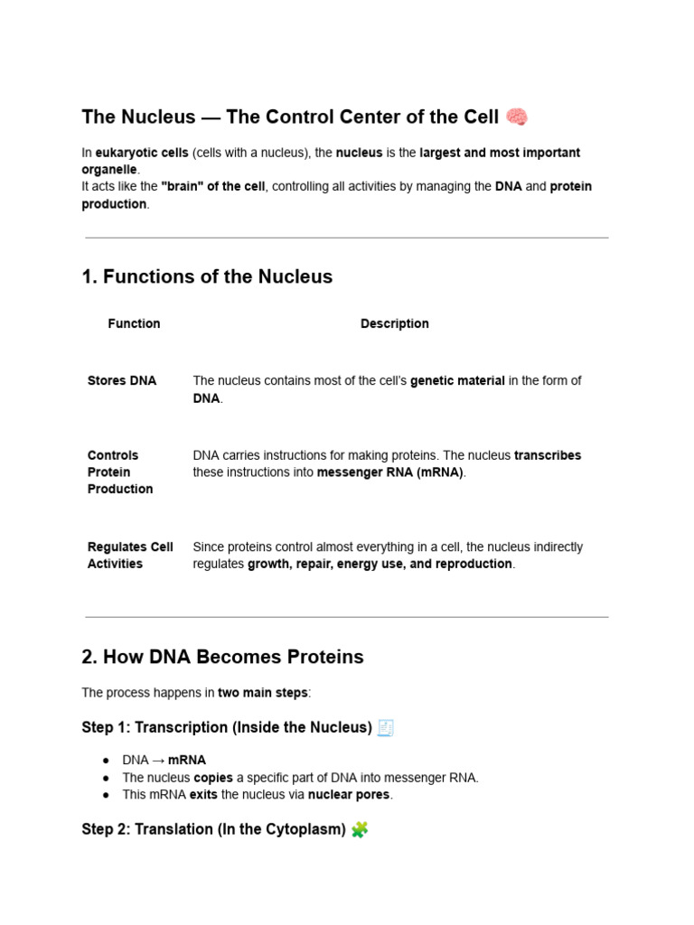 Nucleus: The Cell's Control Center | PDF | Cell Nucleus | Cell (Biology)
