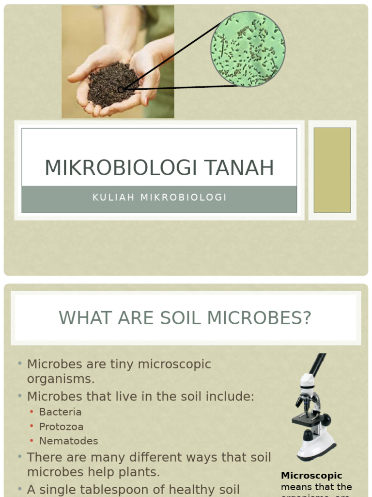 Understanding Soil Microbes and Their Role | PDF | Microorganism | Soil