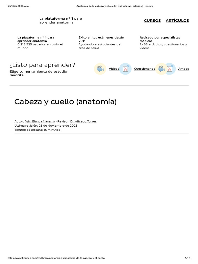 Anatomía de La Cabeza y El Cuello - Estructuras, Arterias - Kenhub | PDF | Cráneo | Nariz humana