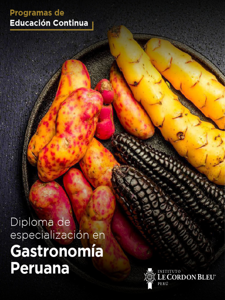Diploma en Gastronomía Peruana | PDF | Perú | Confitería