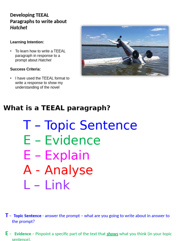 Writing TEEAL Paragraphs for Hatchet | PDF