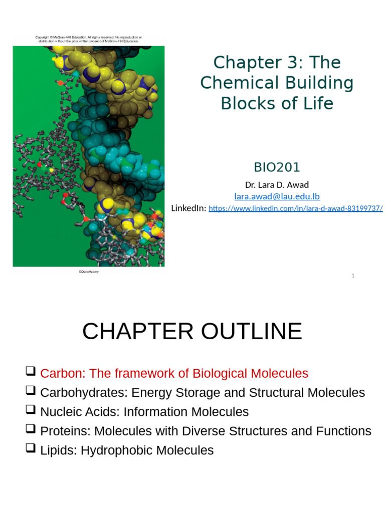 Chemical Building Blocks of Life | PDF | Nucleotides | Carbohydrates