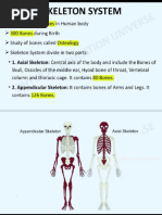 Human Skeleton All Bones Chart | PDF | Anatomy | Musculoskeletal System
