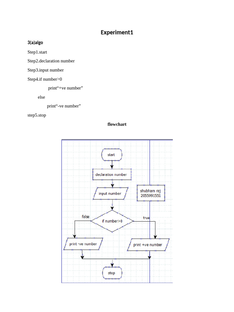 Shubham Experiment | PDF