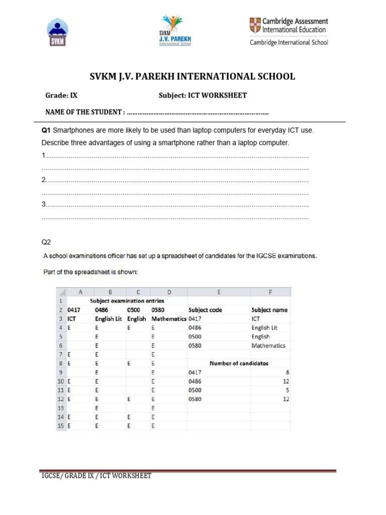 Grade 9 - ICT - Worksheet_250717_205459 | PDF