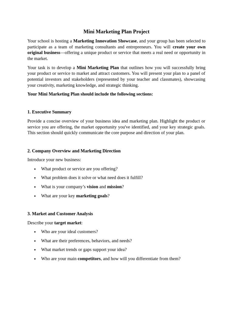 Mini Marketing Plan Overview | PDF | Marketing | Swot Analysis