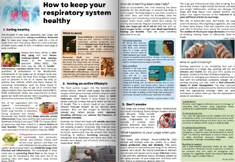 How To Keep Your Respiratory System Healthy | PDF