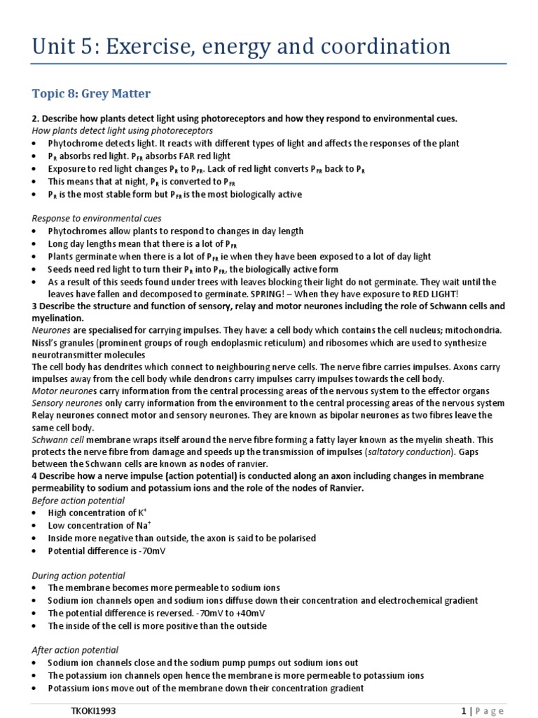 Part 1 Unit 5 Biology - Topic 8 | PDF | Action Potential | Chemical Synapse