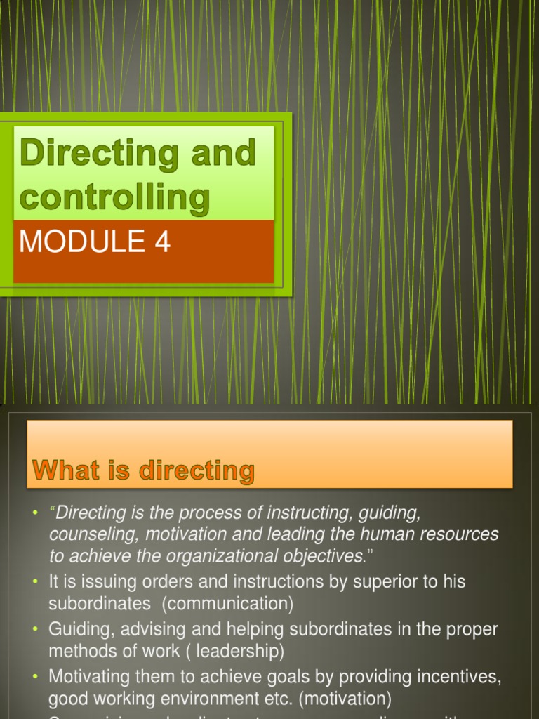 Directing and Controlling | PDF | Leadership | Innovation