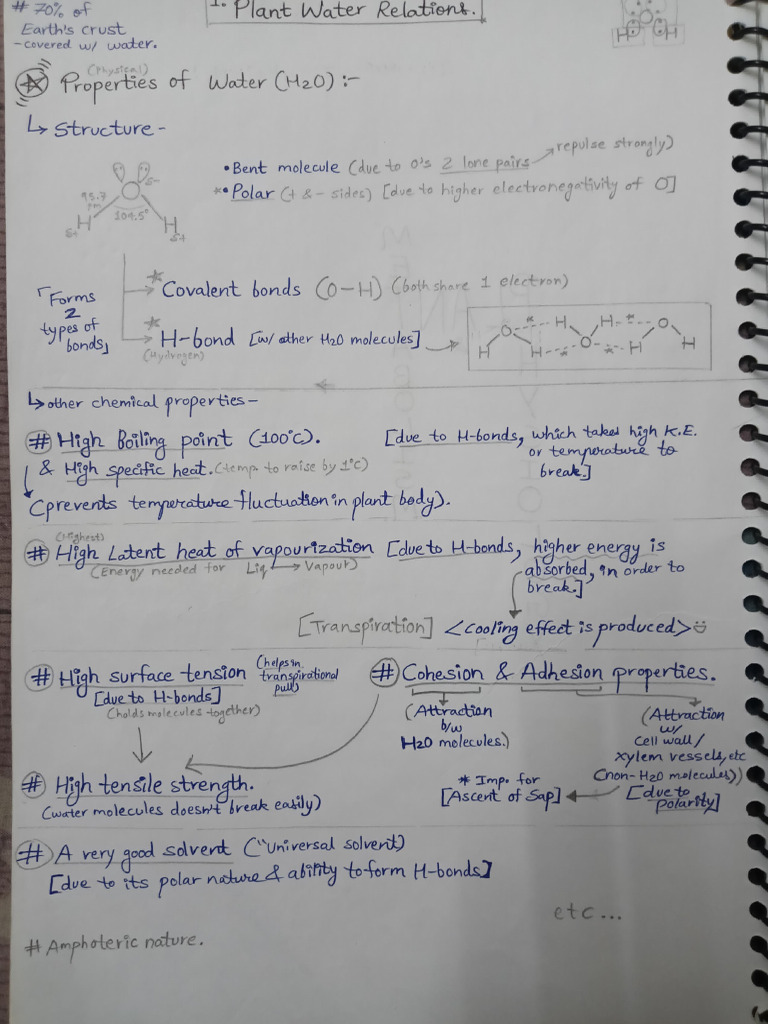 Plant Physiology Unit 1 Notes | PDF | Osmosis | Cell Biology