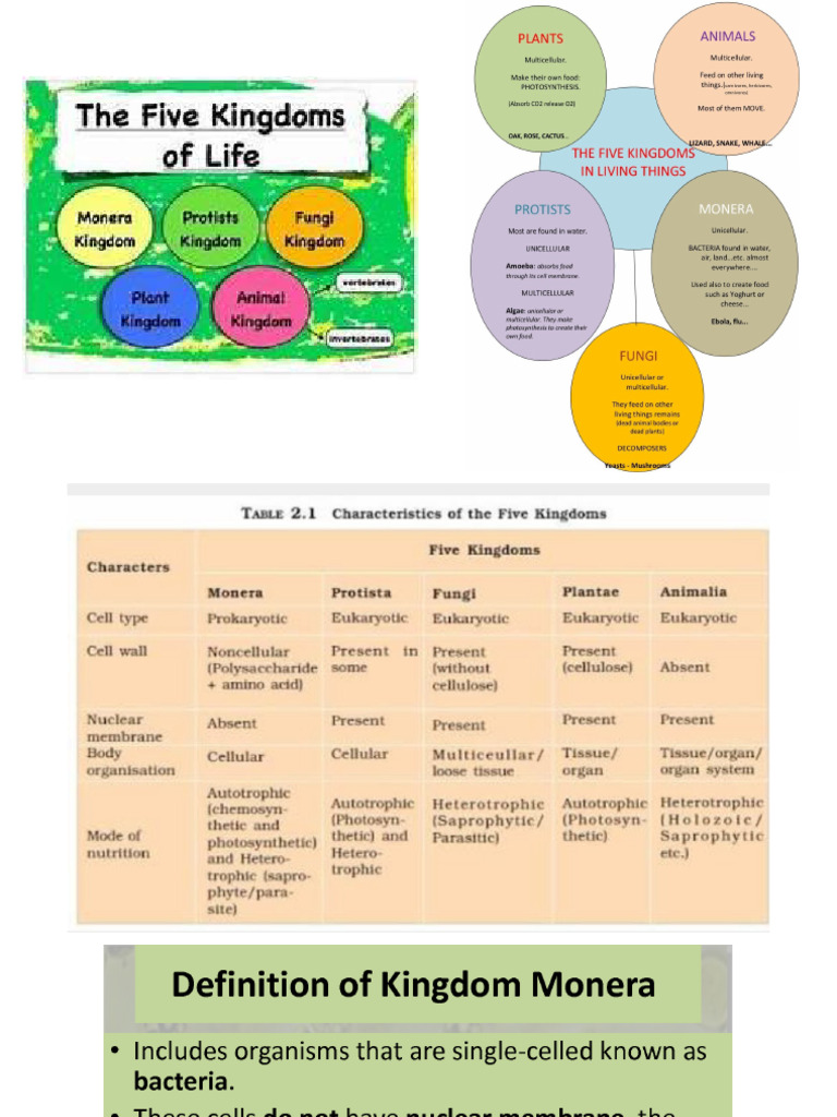 Five Kingdoms of Life | PDF