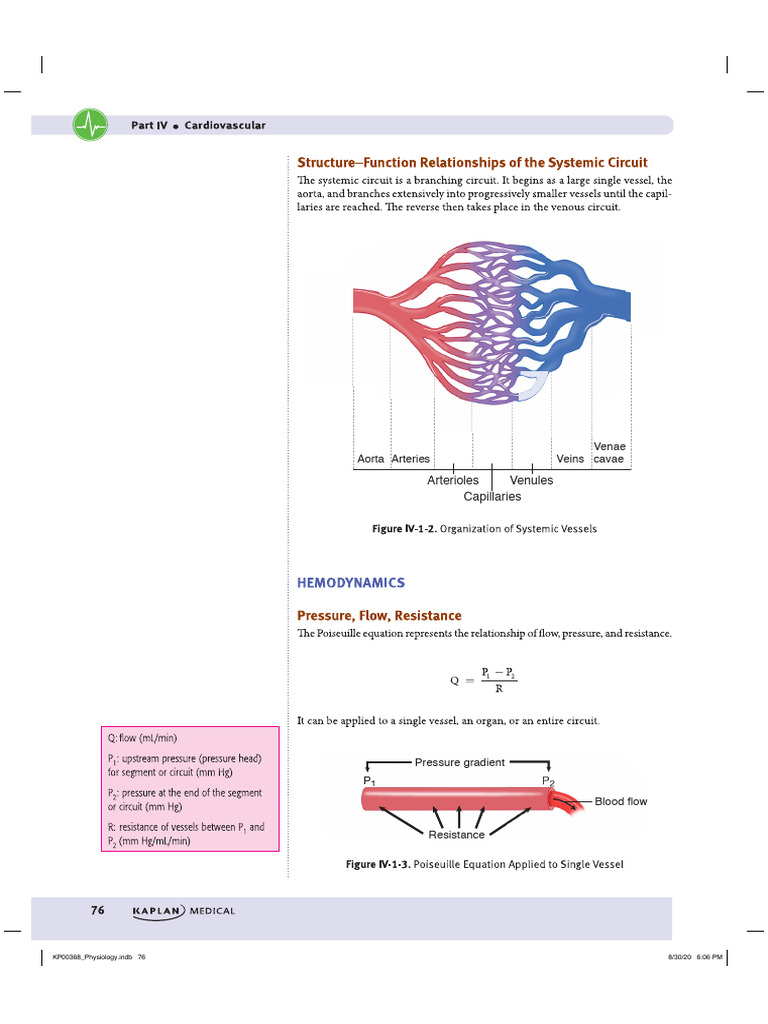 Blood Flow and Pressure Resistance | PDF