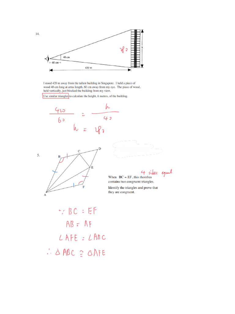 Congruent & Similar Triangles-Exercises | PDF