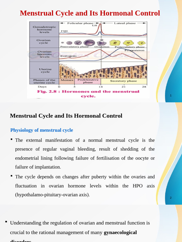 Hormonal Control of Menstrual Cycle | PDF | Menstrual Cycle ...