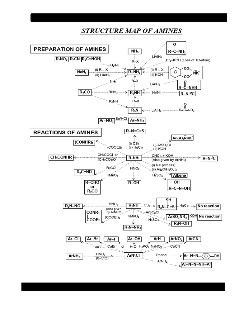 Amines and Carboxylic Acids Overview | PDF | Amine | Methyl Group