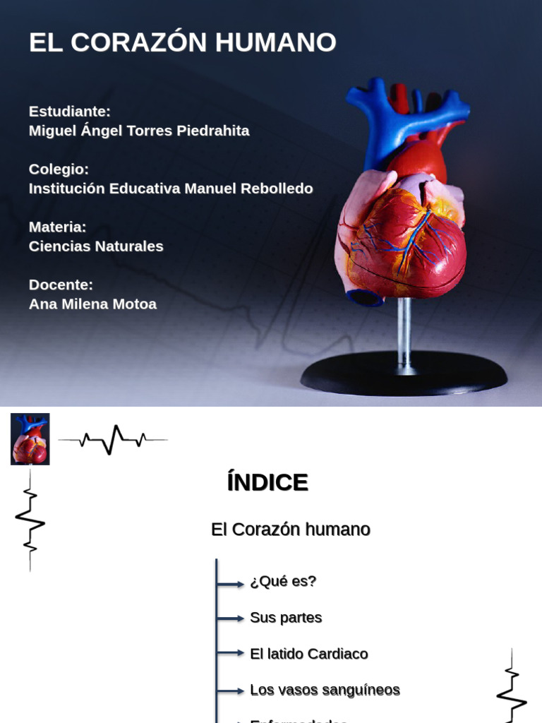El Corazón Humano | PDF | Corazón | Artería