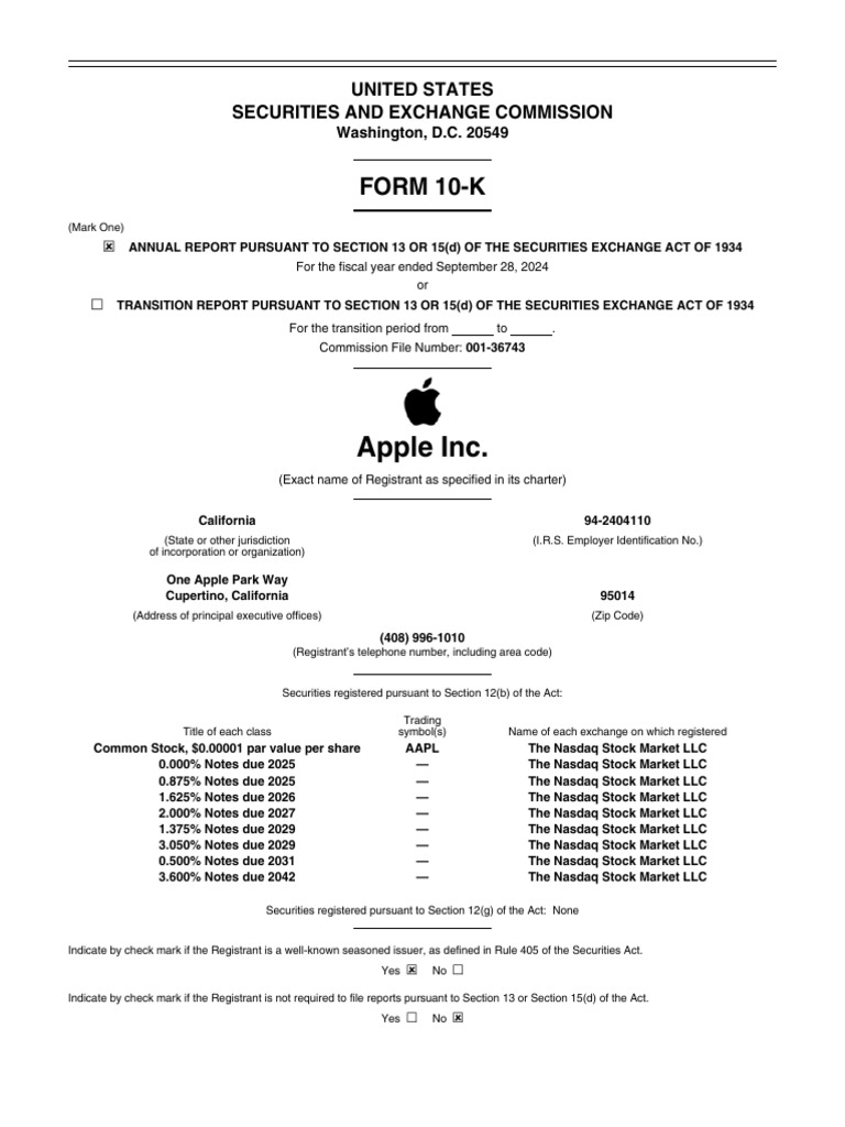 Apple Inc. 2024 Total Shareholders' Equity | PDF | Equity (Finance ...