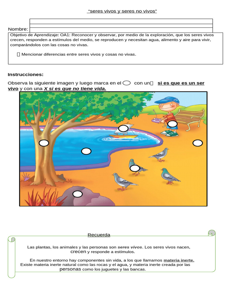 1° Básico Ciencias Naturales Seres Vivos y No Vivos | PDF