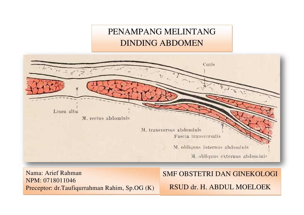 Dinding Abdomen | PDF