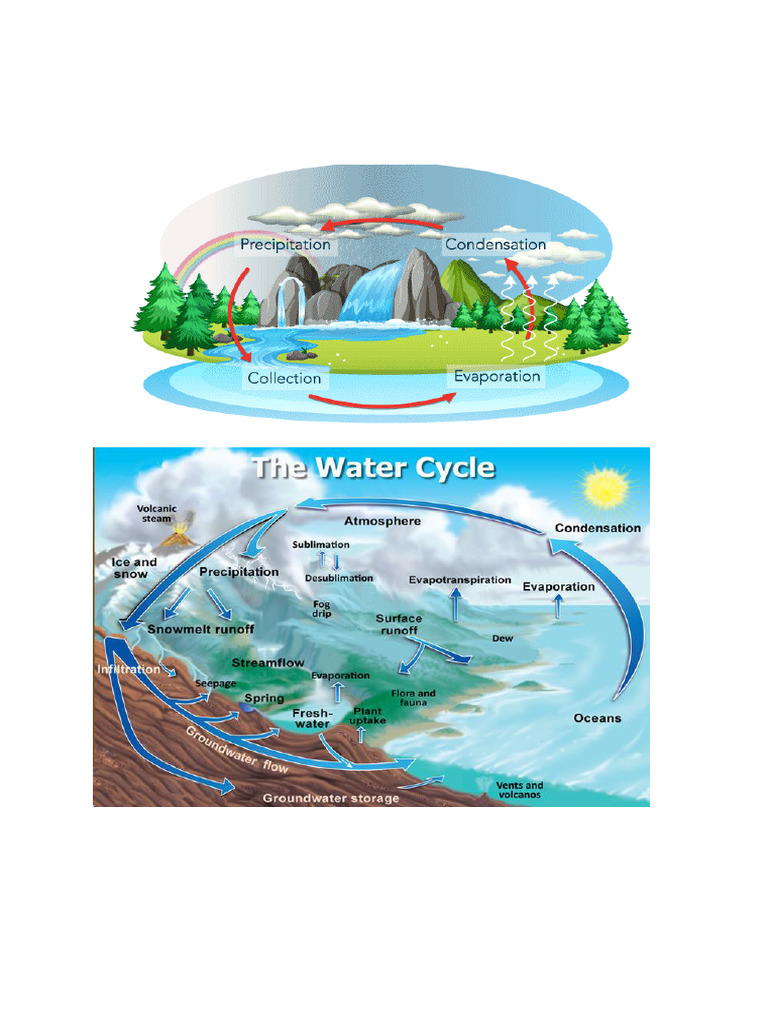 Understanding Water Pollution Sources | PDF | Water Cycle | Water Pollution