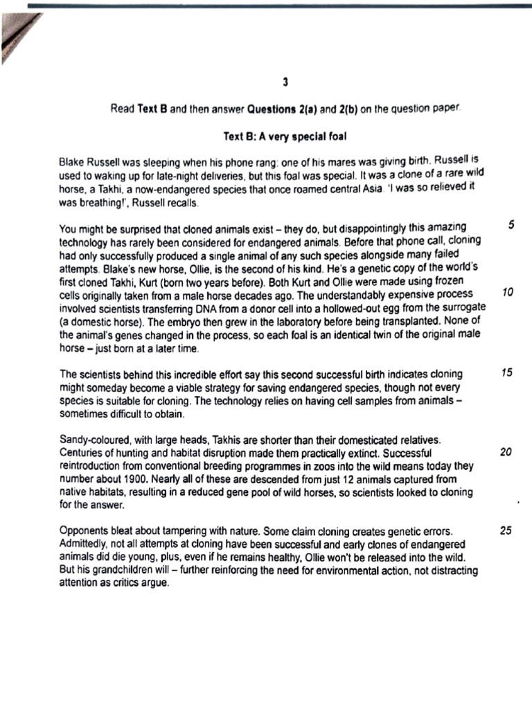 Cloning | PDF | Cloning | Bioethics