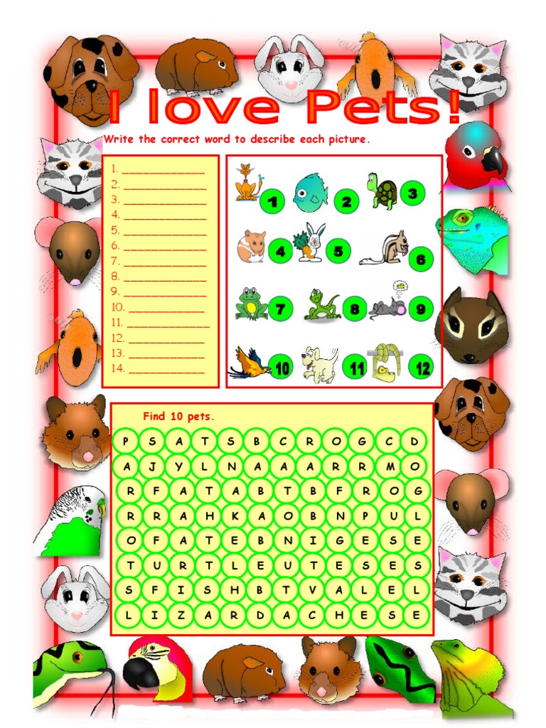 Identify 10 Pet Animals Worksheet | PDF | Language Arts & Discipline