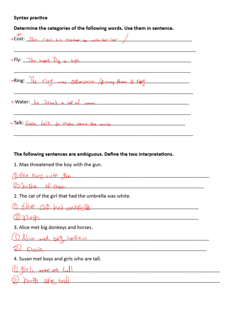 Syntax Practice PDF | PDF