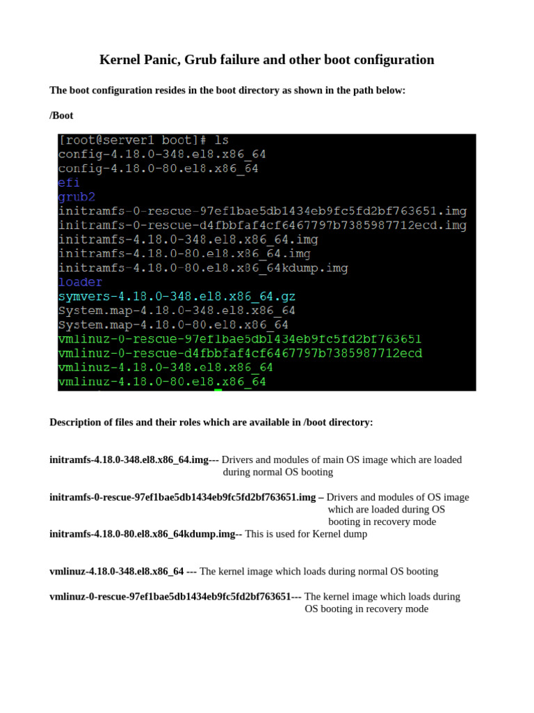 Kernel Panic and Other Boot Configuration | PDF | Booting | System Software